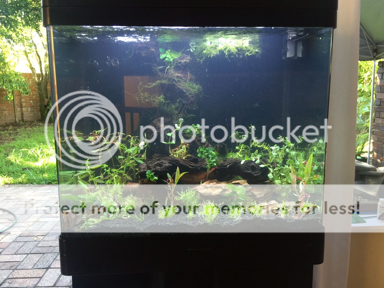 My "Freshened Up" Red Sea 130 | Tropical Aquariums SA