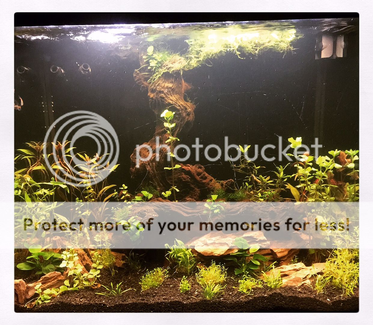 My "Freshened Up" Red Sea 130 | Tropical Aquariums SA